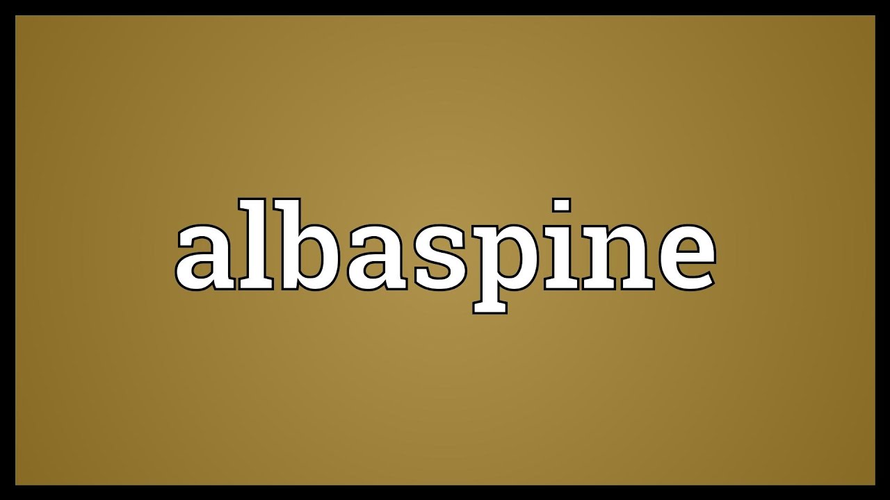 Albaspine Meaning - YouTube