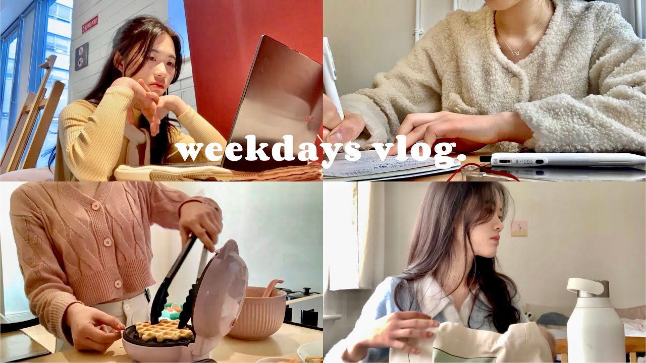 𝐯𝐥𝐨𝐠 𝟔𝟕｜study vlog 📚 / final semester in college🧸【爱尔兰留学】 - YouTube
