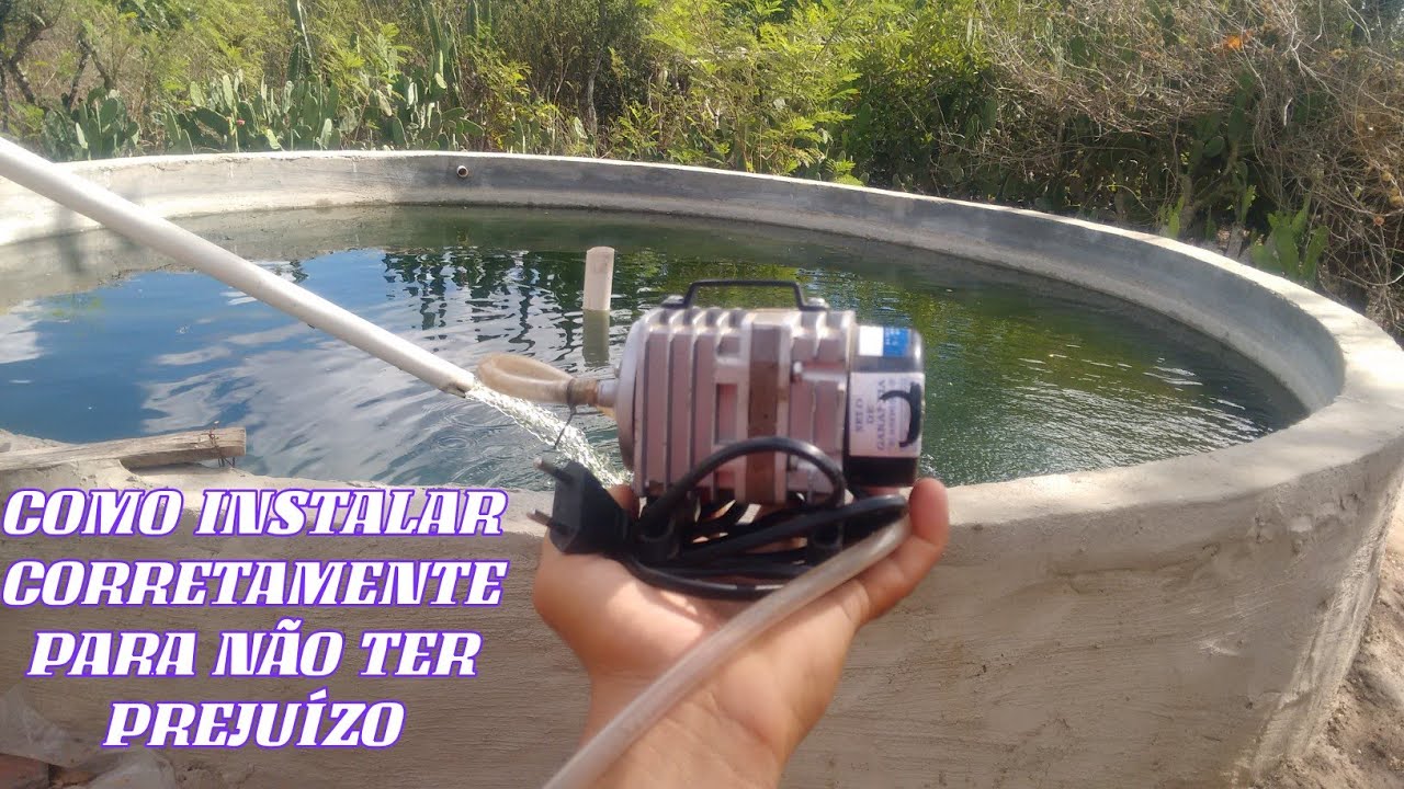 COMO INSTALAR COMPRESSOR CORRETAMENTE NA CRIAÇÃO DE PEIXES - YouTube