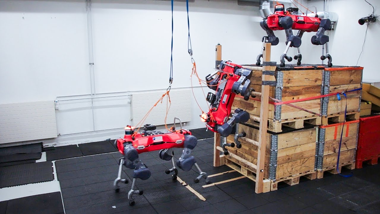 Robust Ladder Climbing with a Quadrupedal Robot - YouTube