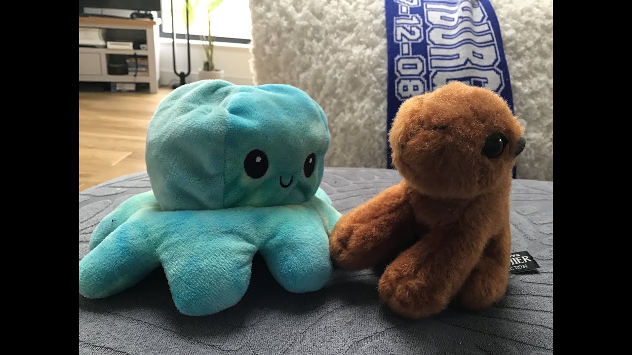 Squad the octopus season 2 episode 1 (squad meets capybara) - YouTube