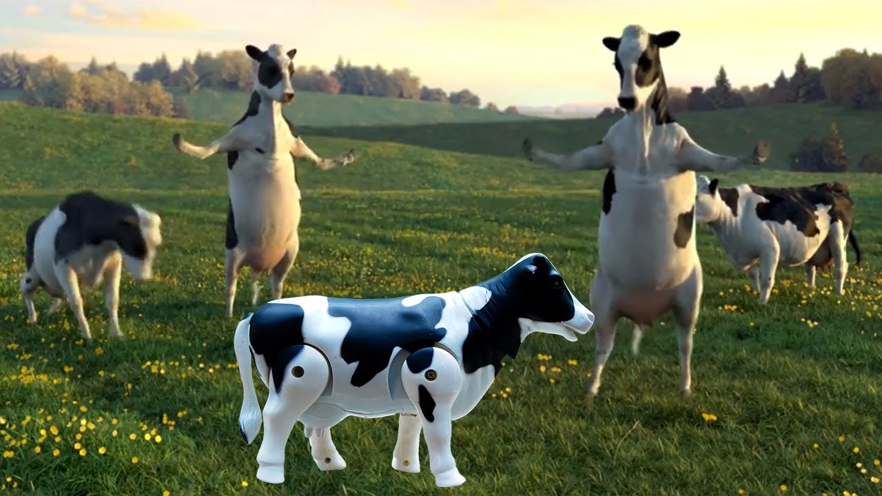 Temukan mainan sapi joget lucu - mmm funny cow dancing - YouTube