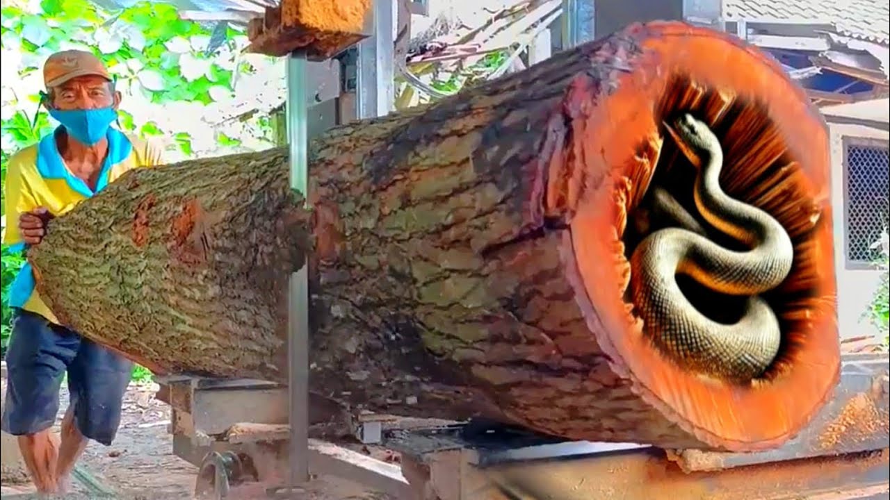 Unexpected discovery when sawing red mahogany logs - YouTube