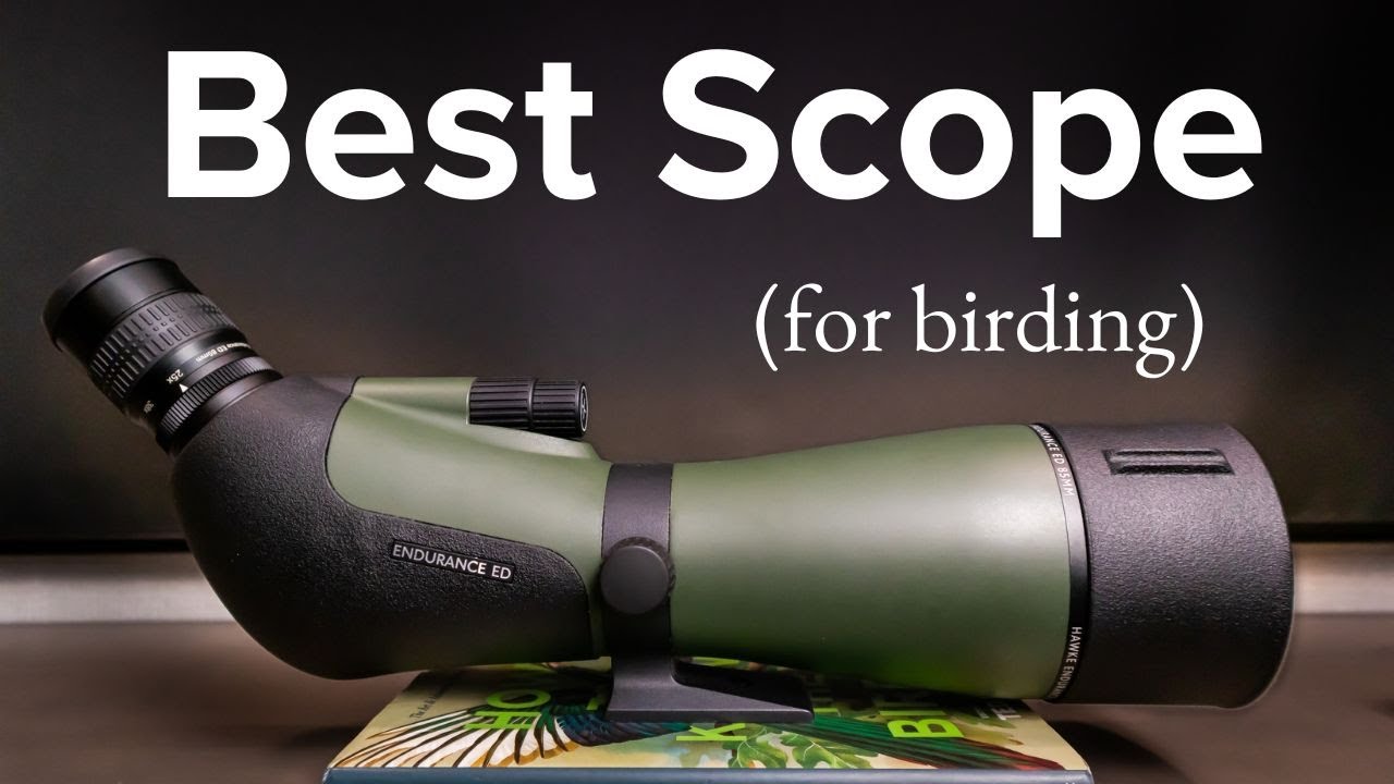 The Best Spotting Scope Under $1,000 for Birding | Hawke Endurance 25 ...