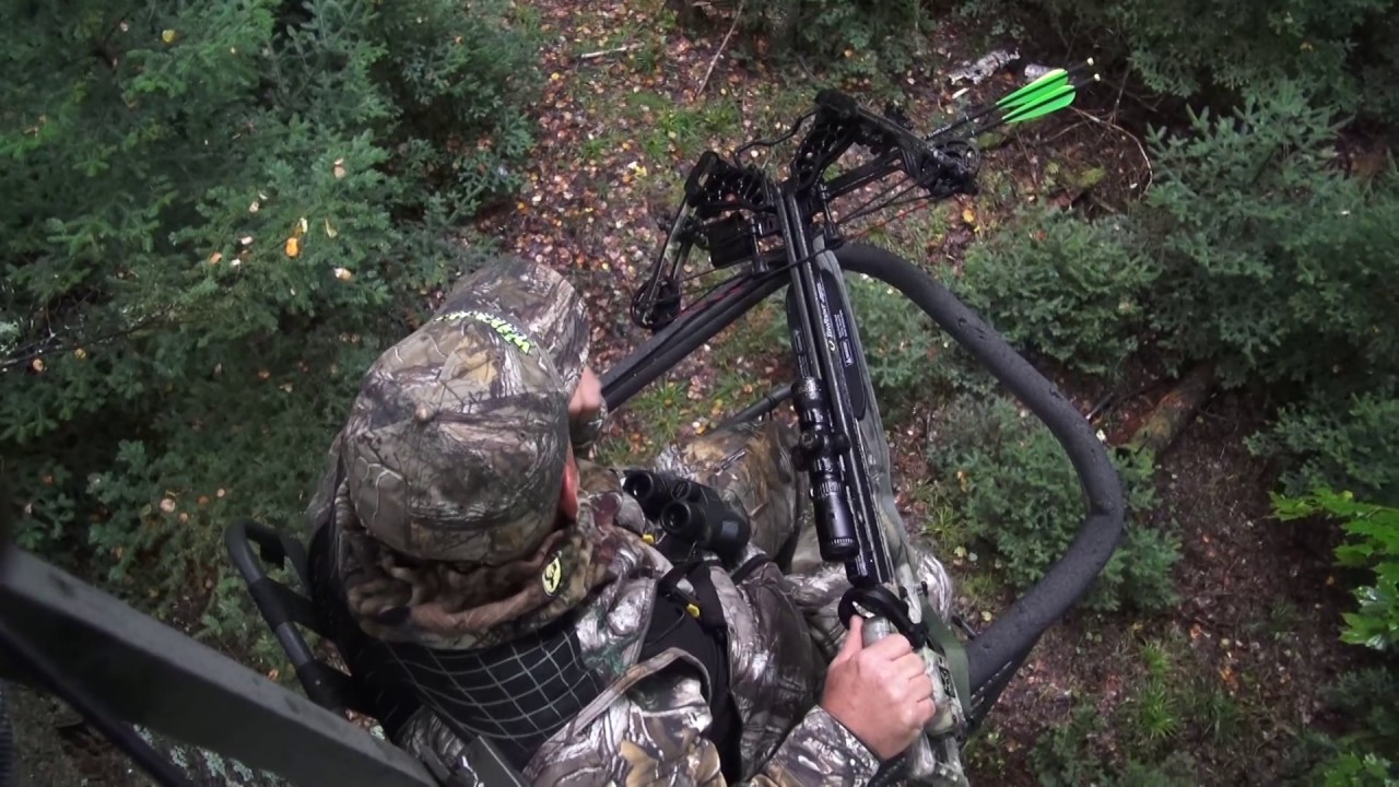 Bubba's 2016 Hunt Video - YouTube