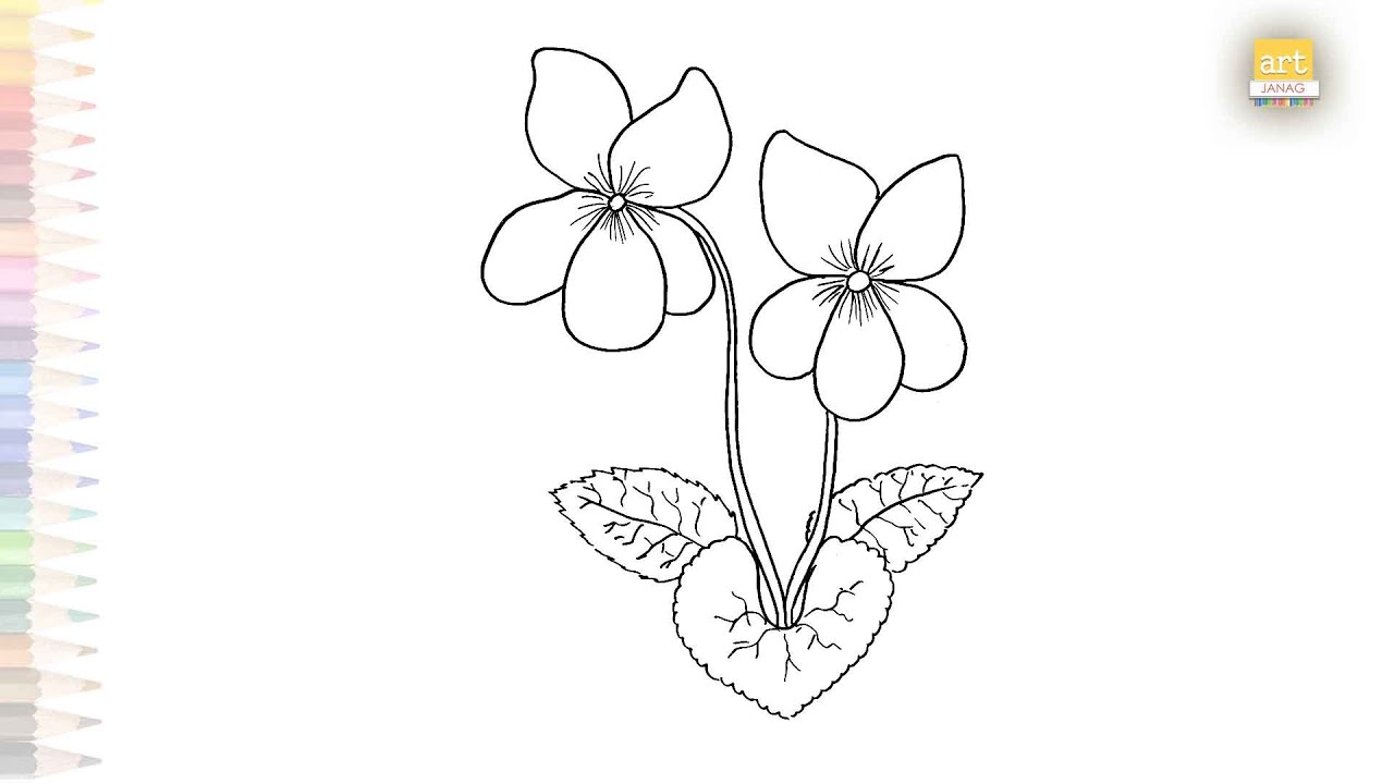 Blue violet flower drawing easy | Art tutorial sketches | How to draw ...