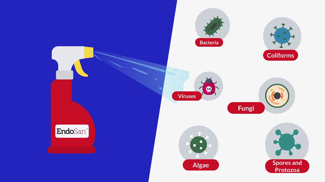 Why Choose EndoSan? - YouTube