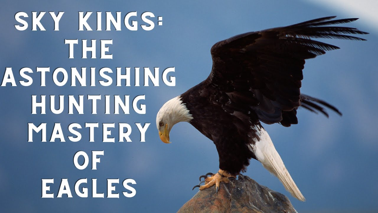 Sky Kings: The Astonishing Hunting Mastery of Eagles - YouTube