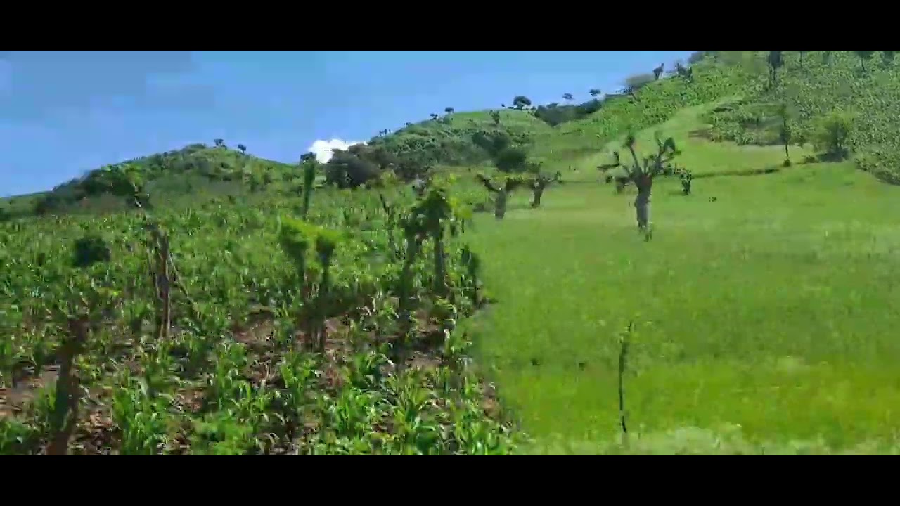The Derashe and Konso farmland Ethiopia - YouTube
