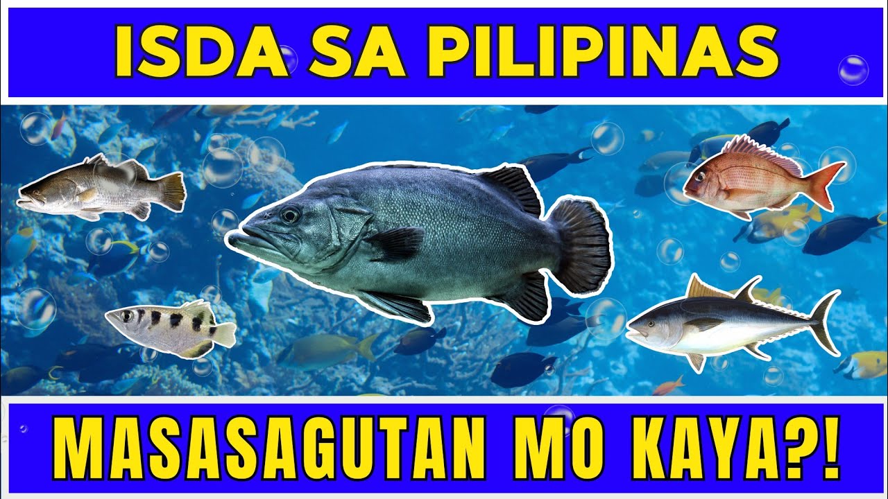 MAHUHULAAN MO KAYA ANG PANGALAN NG MGA ISDA NA KARANIWAN MATATAGPUAN SA ...