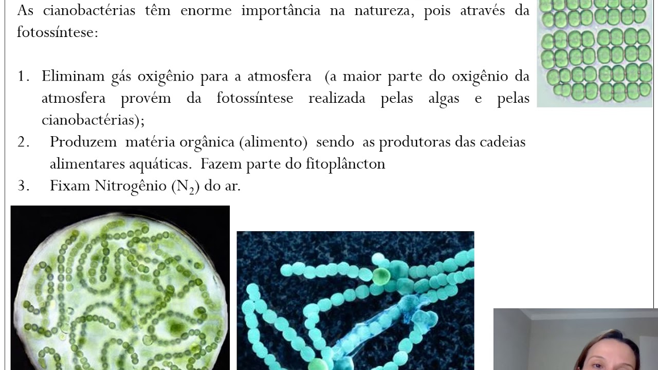 Procariontes - parte 03 - YouTube