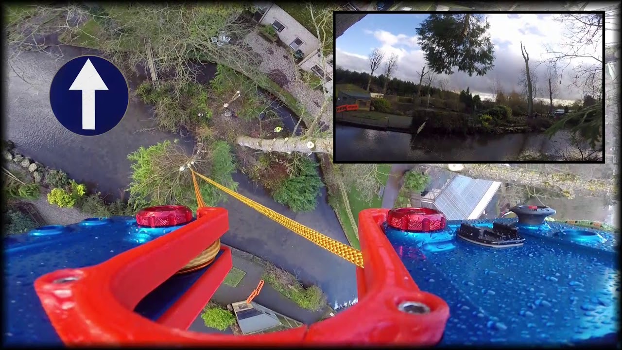 Birdland part 2 - Three Dimensional Speedlining Technique - English ...