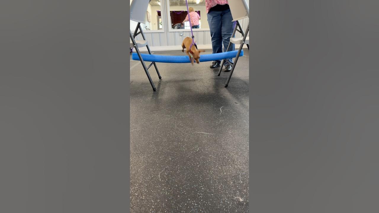 Frankie jumping the line. - YouTube