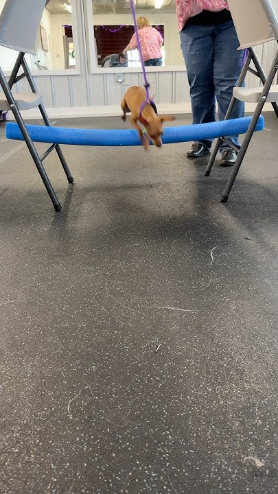 Frankie jumping the line. - YouTube