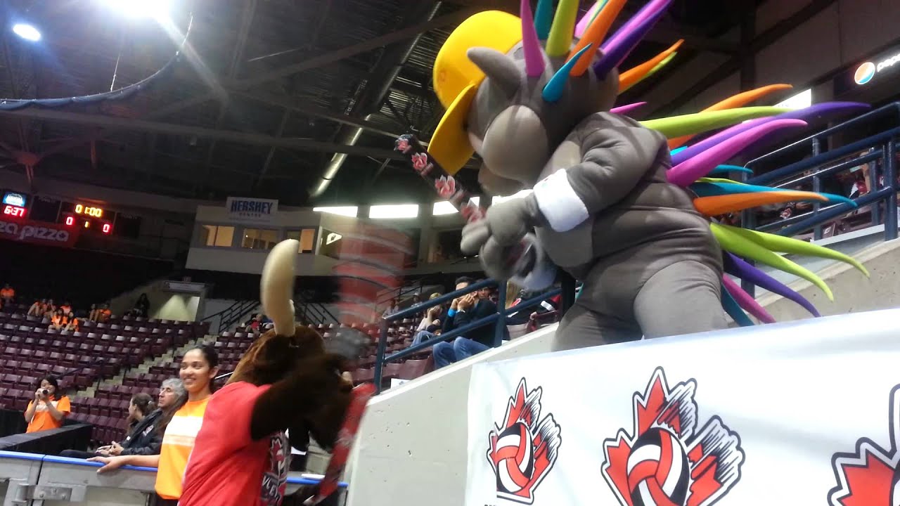 World champion qualifications mascots fight - YouTube