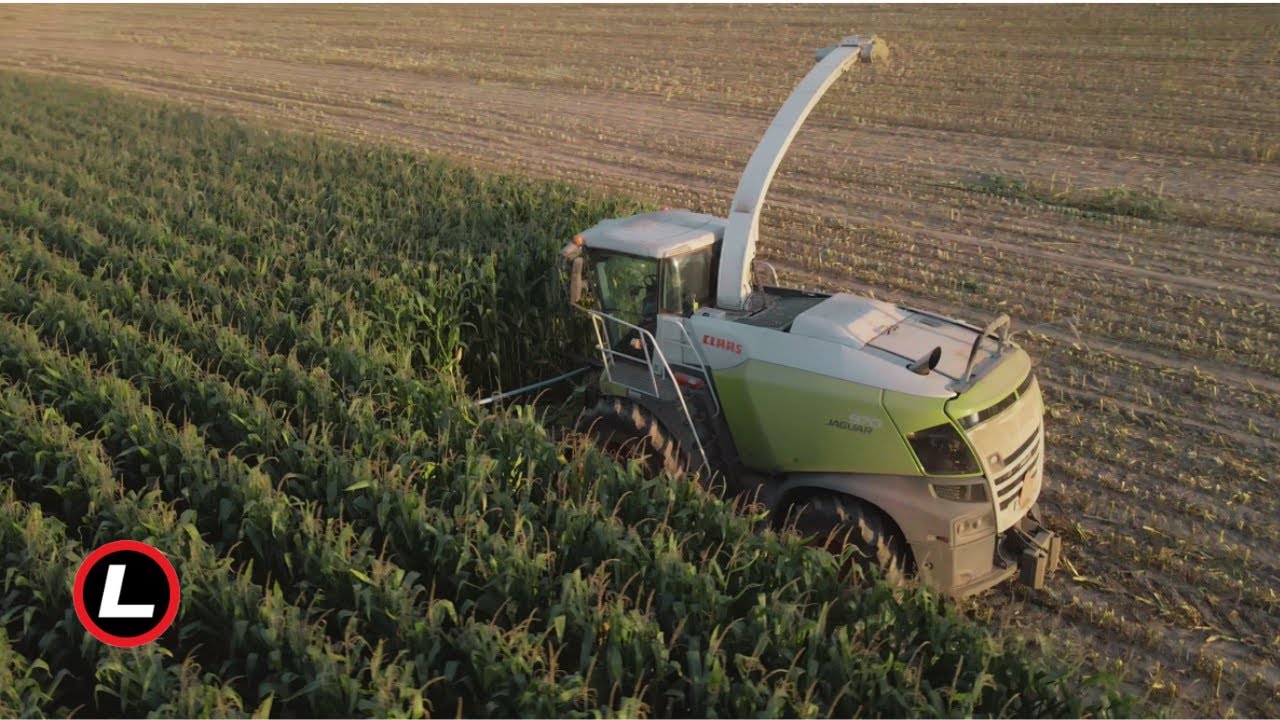 CLAAS Jaguar 970 Forage Harvester Chopping Corn Silage | Drone Video ...