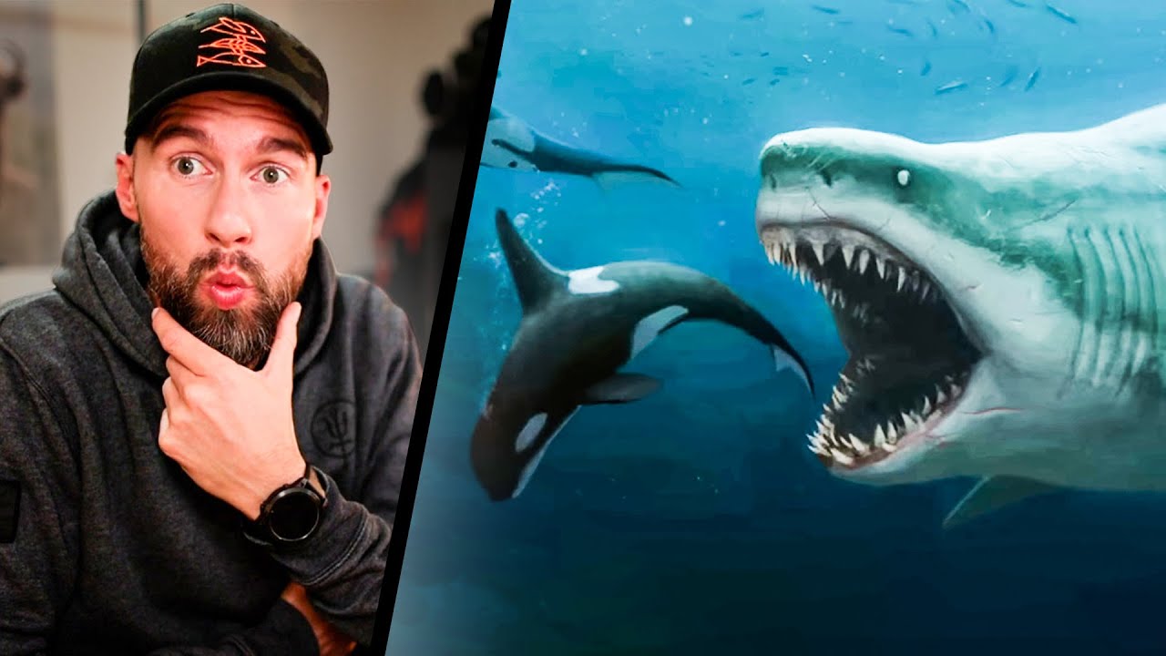 MEGALODON frisst ORCA mit einem BISS! Erstmalige 3D Rekonstruktion ...