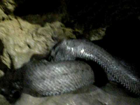 Cueva Culebrones - YouTube