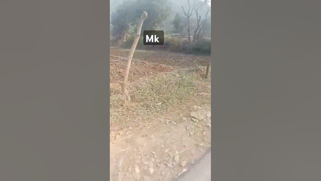 Mk vlog Mk ki vvc - YouTube