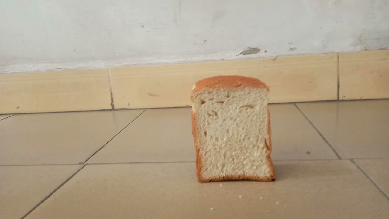Pieces of bread falling over Meme Challenge. - YouTube