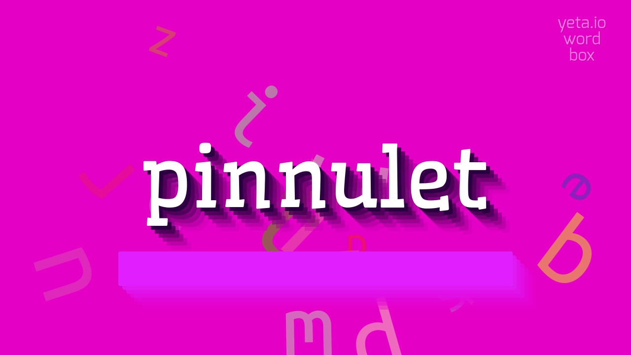 How to say "pinnulet"! (High Quality Voices) - YouTube