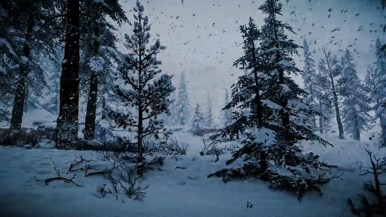 Wind noise and white noise in the winter woods | Beautiful sounds of ...