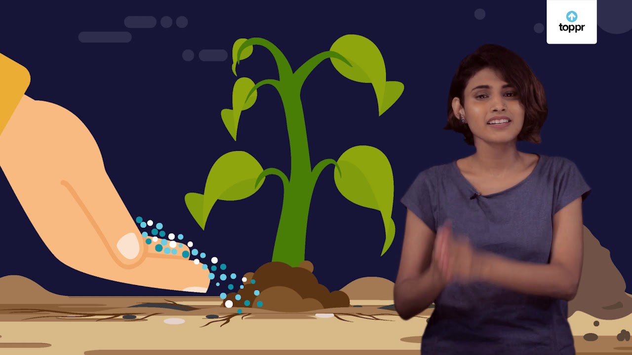 Topper -To The New - YouTube