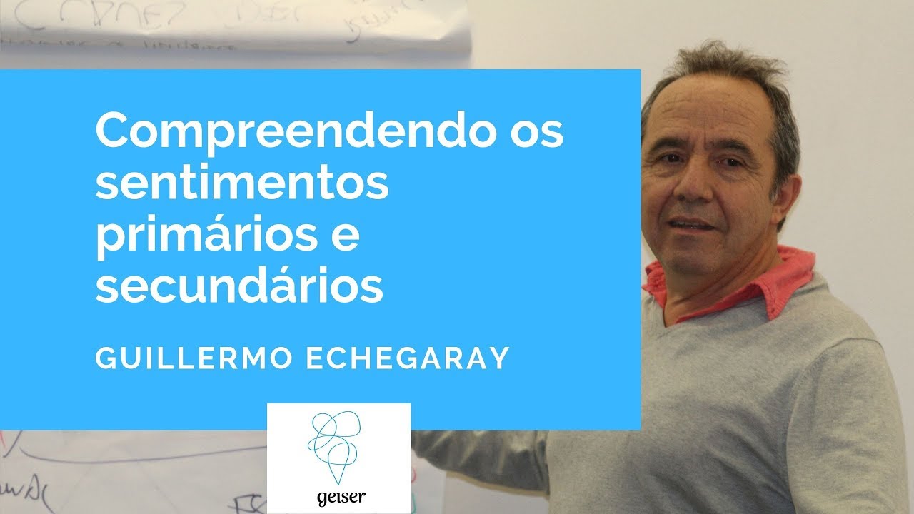 Compreendendo os sentimentos primários e secundários - YouTube