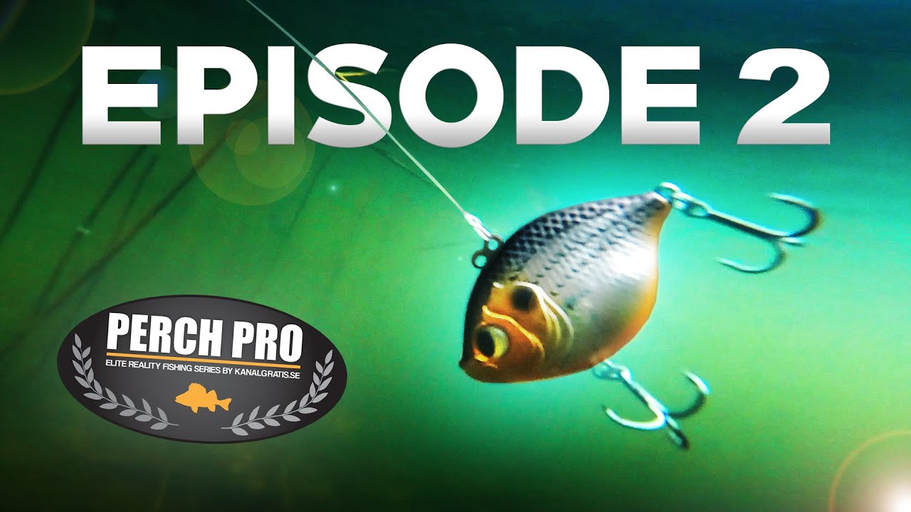 PERCH PRO 7 - Episode 2 - YouTube
