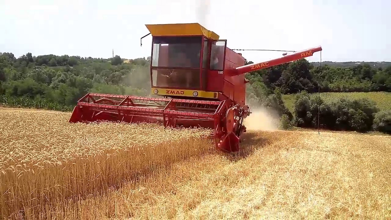 Zmaj 142 Wheat Harvest\ Žetva 2017 - YouTube