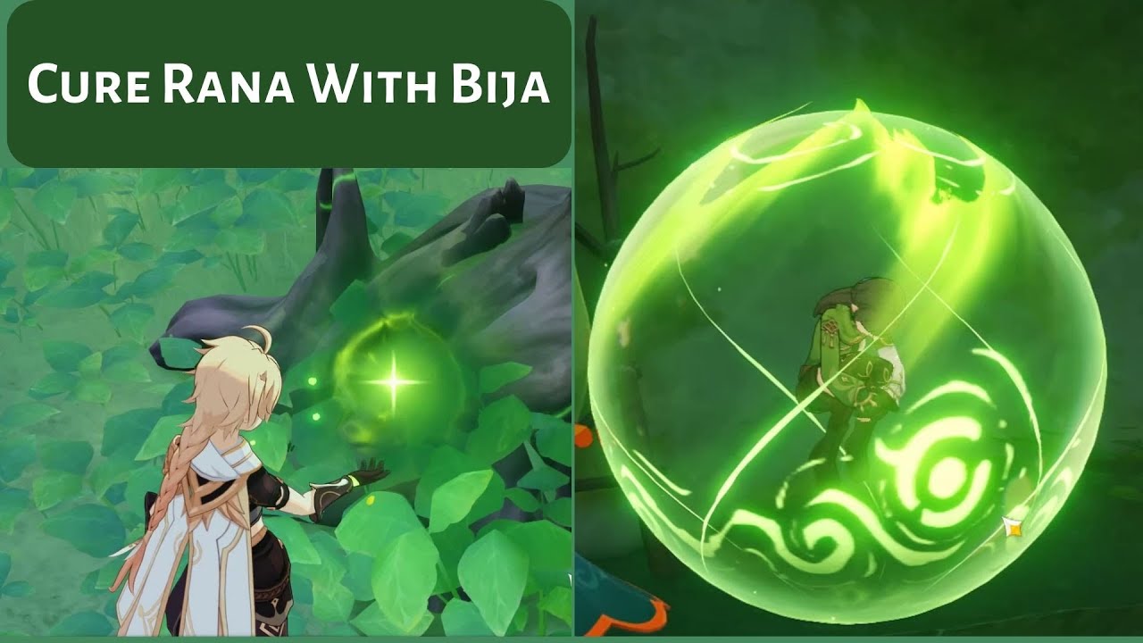Save Rana with Bija | Genshin Impact Sumeru - YouTube