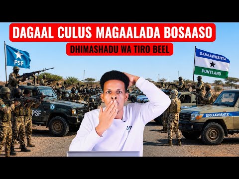 #DEGDEG Dagaal Culus oo ka socda Bosaaso-Dhimashadu wa tiro Beel-PSF iyo Darawiishtii PL oo birta..