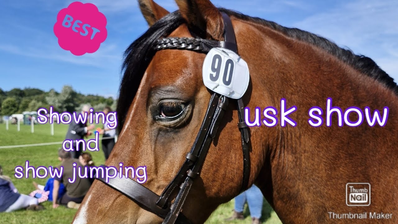 Usk show | showing and showjumping - YouTube