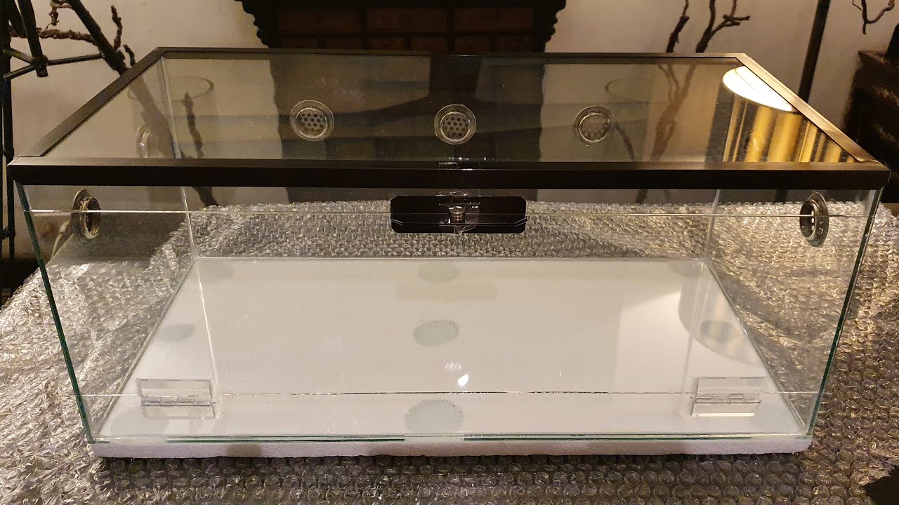 Affordable but Quality | Simple but Elegant | Leopard Gecko Glass ...