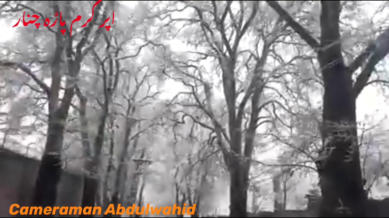 Beautiful snowfall in Parachinar Upper Kurram #snow #parachinar - YouTube
