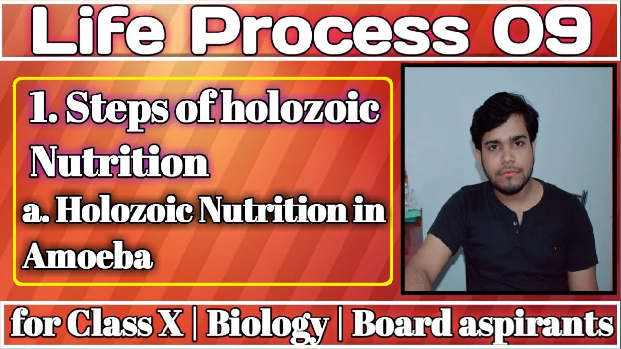 #L-09#Life process class 10 science biology| Steps of holozoic ...