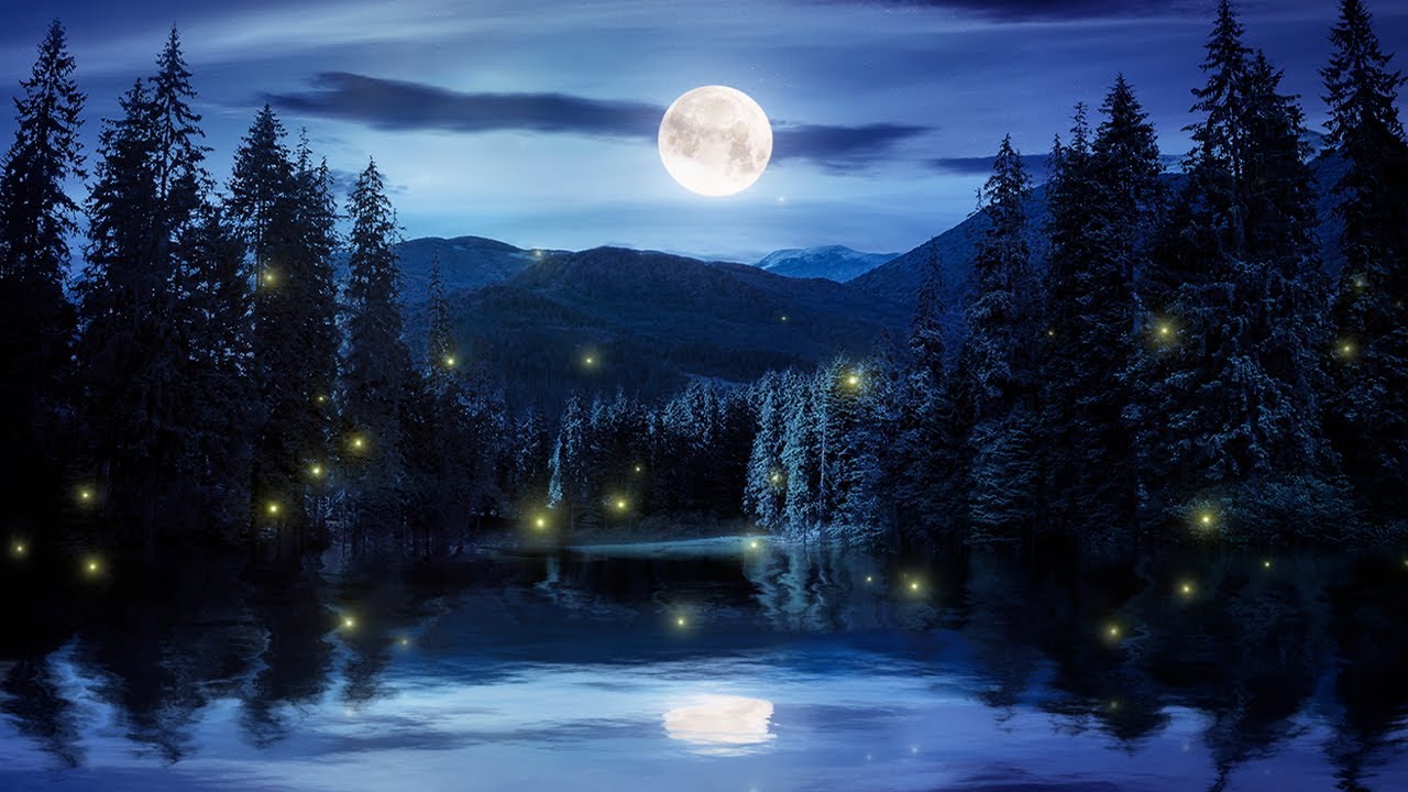 Relaxing Sleep Music and Night Nature Sounds: Soft Crickets, Beautiful ...