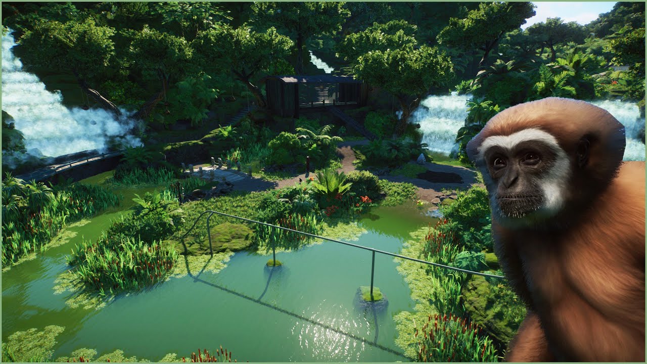 🐒 Lar gibbon habitat on an island with a tree house | Conuco Zoo ...