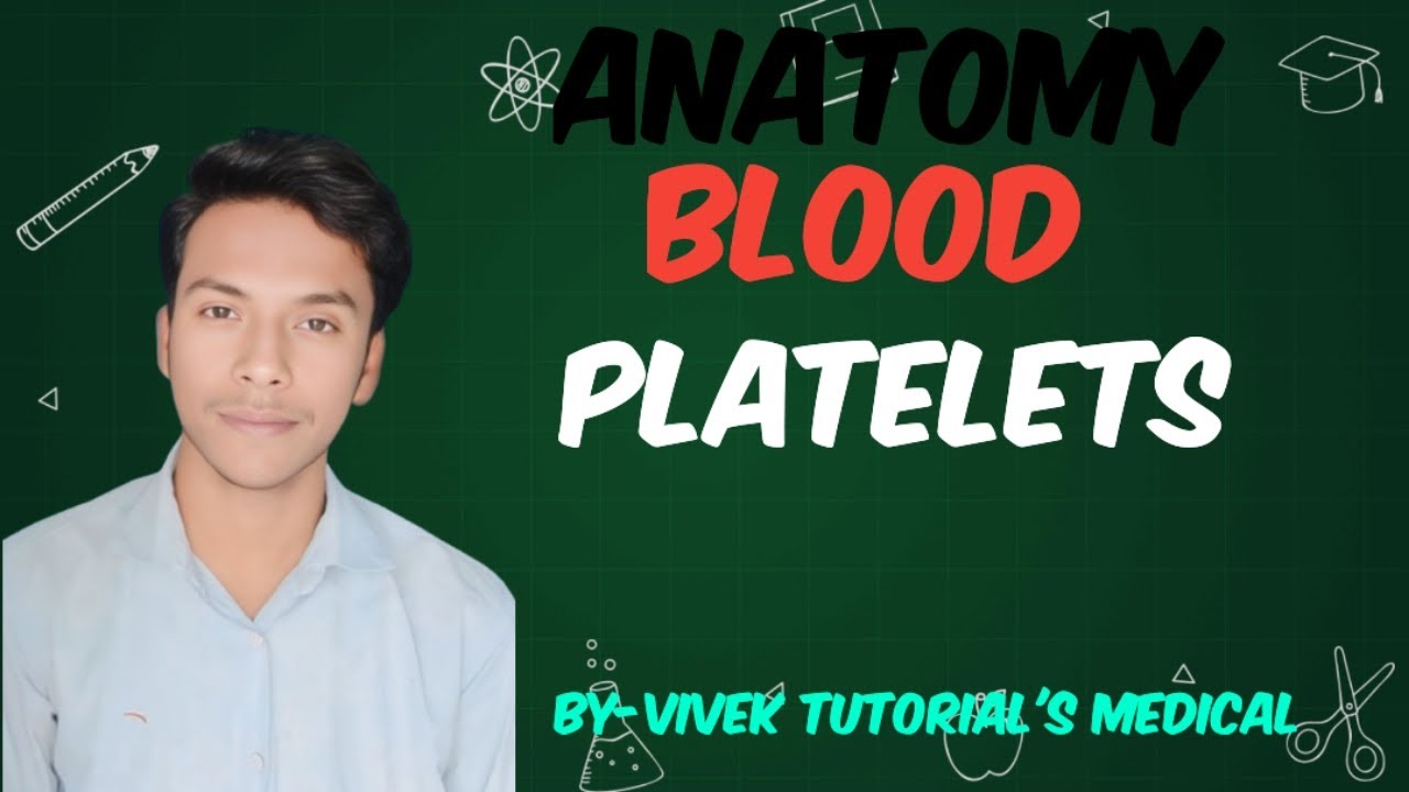 All about platelets.(Blood). ️ - YouTube