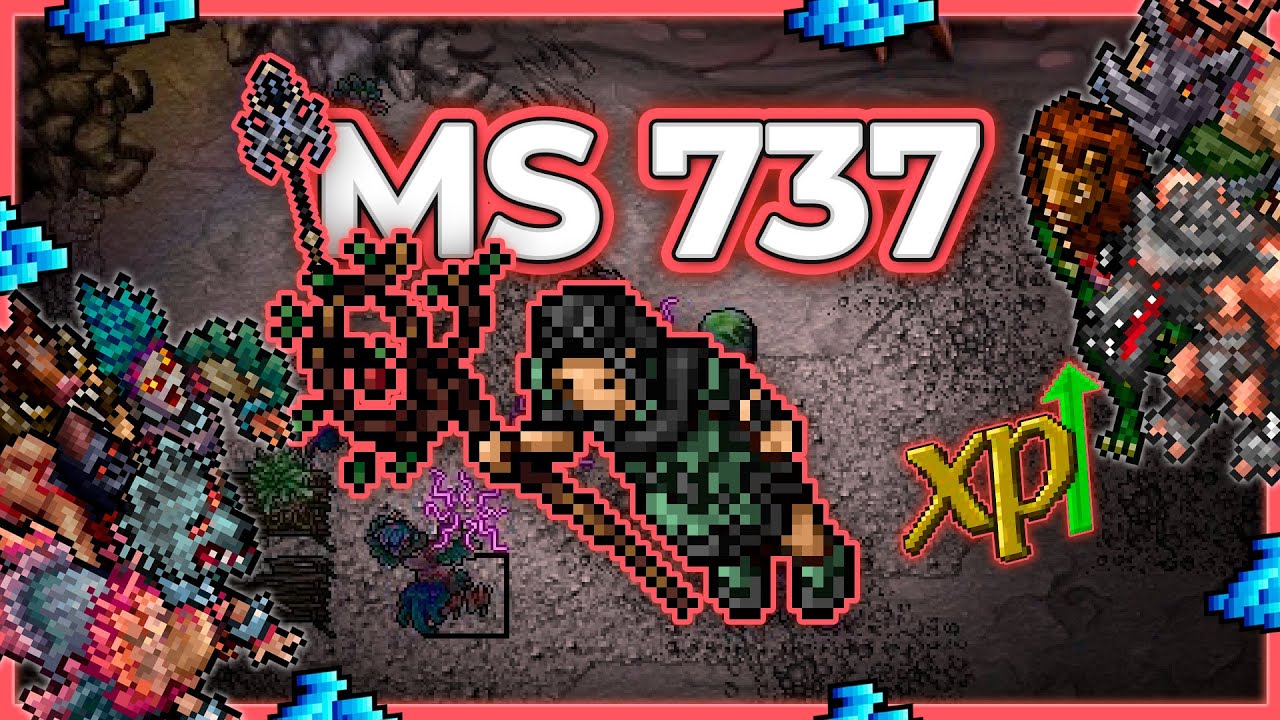 MS 737 Hunt x4 Deeper Ingol 7.9kk Raw + 2.3kk Profit - Tibia Hunt [13. ...
