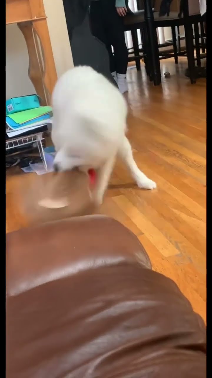 Define crash out - YouTube