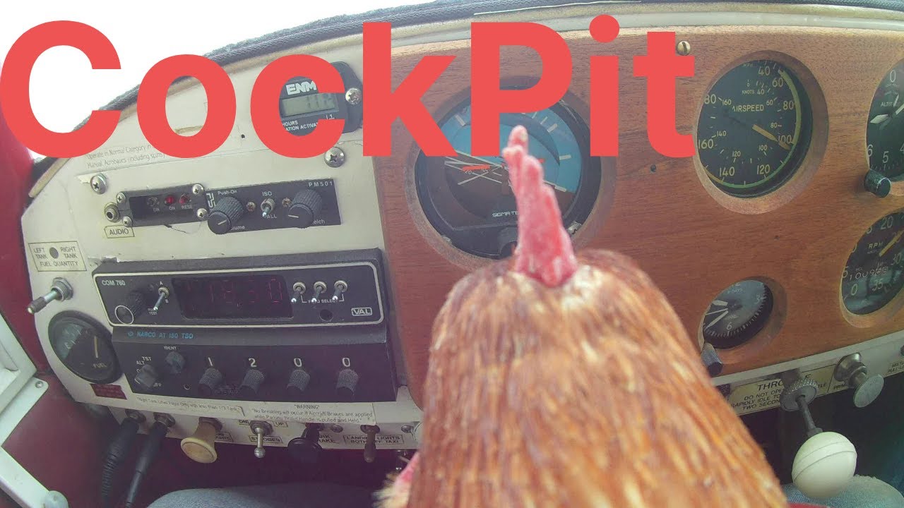 I let a chicken fly an Airplane! (No FAA) - YouTube