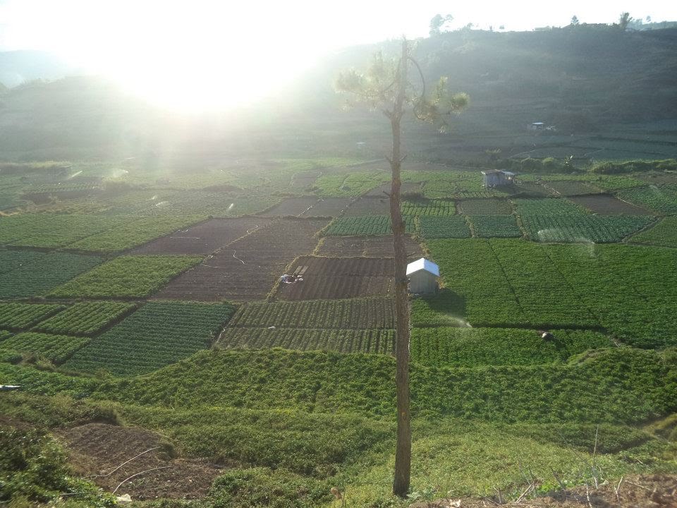 Go Negosyo Interview with Mr Paris Uy - YouTube