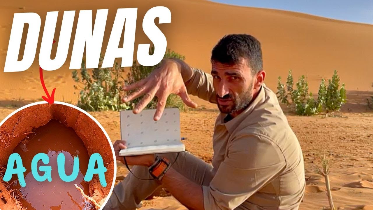 POR QUÉ hay AGUA en el DESIERTO y Cómo Encontrarla Siempre - YouTube