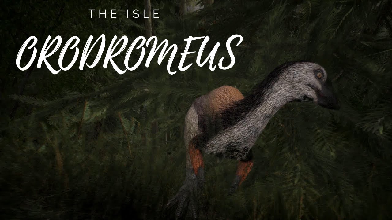 Orodromeus. The Isle video game. - YouTube