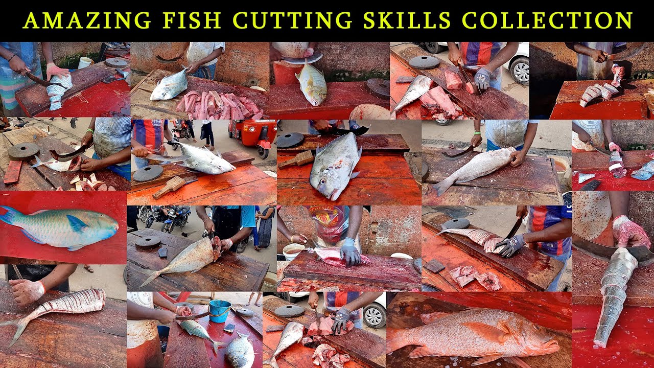 AMAZING FISH CUTTING SKILLS COLLECTION SEPTEMBRE ALL IN ONE VIDEOS ...