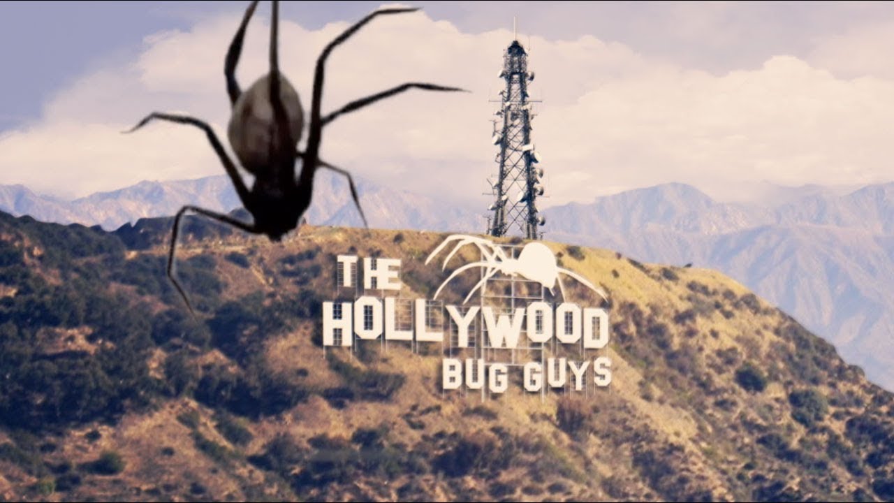 The Hollywood Bug Guys Sizzle Reel - YouTube