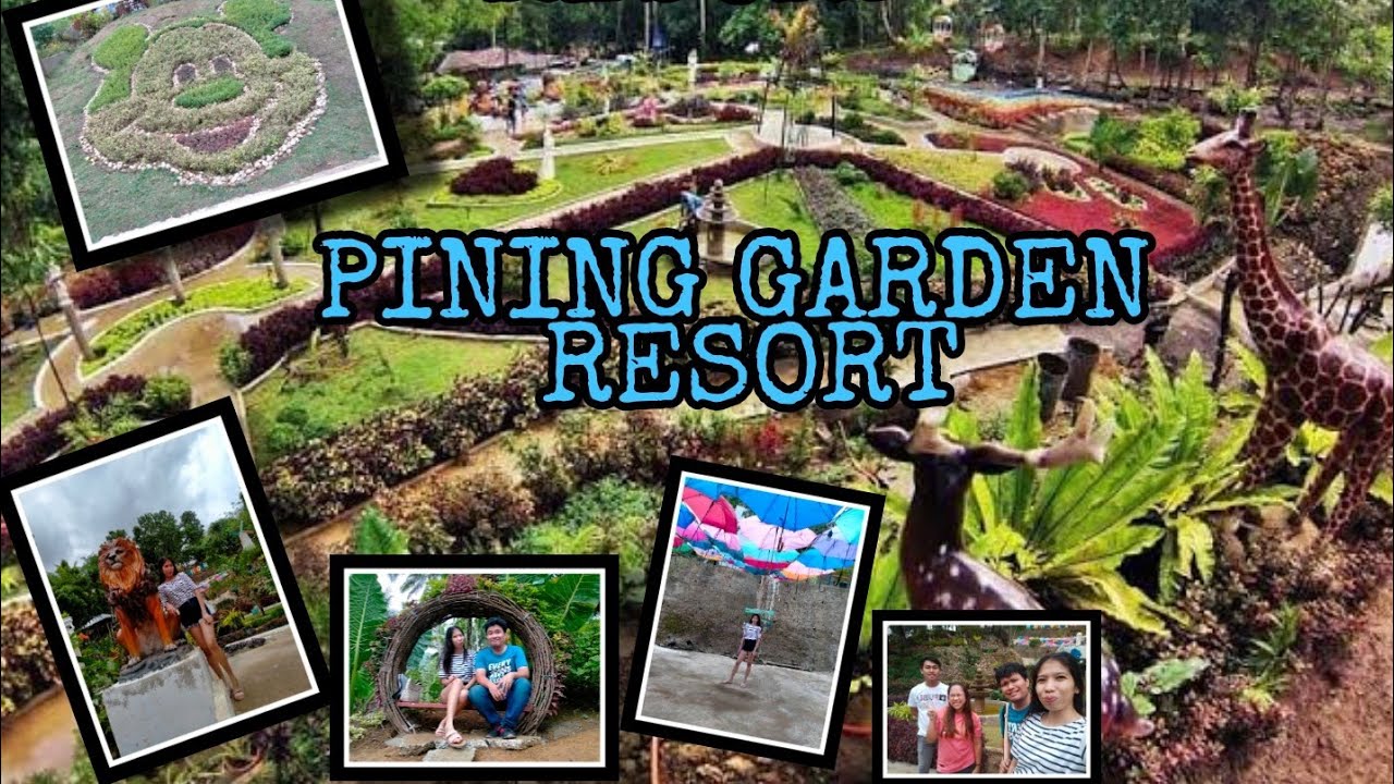 Pining Garden Resort - YouTube