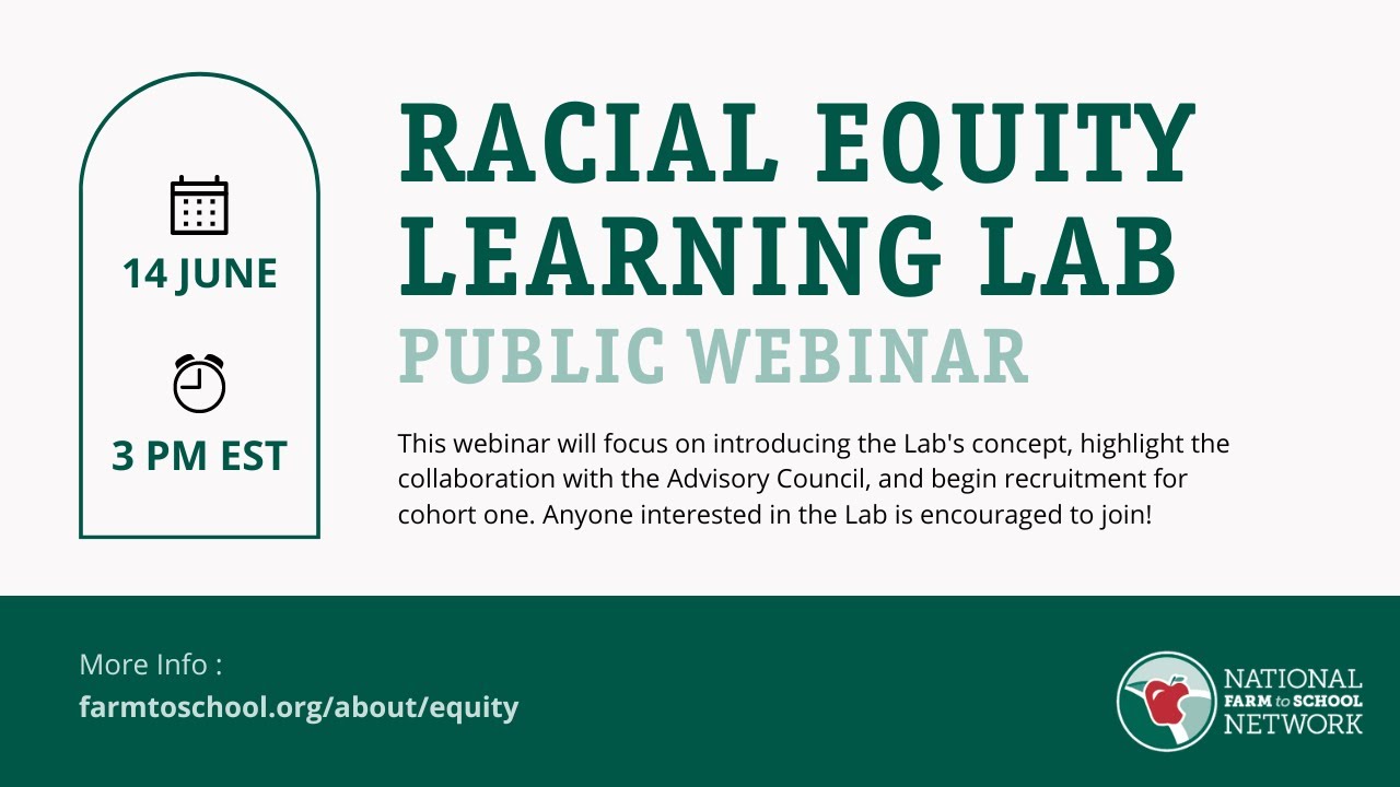 Racial Equity Learning Lab Public Webinar Youtube