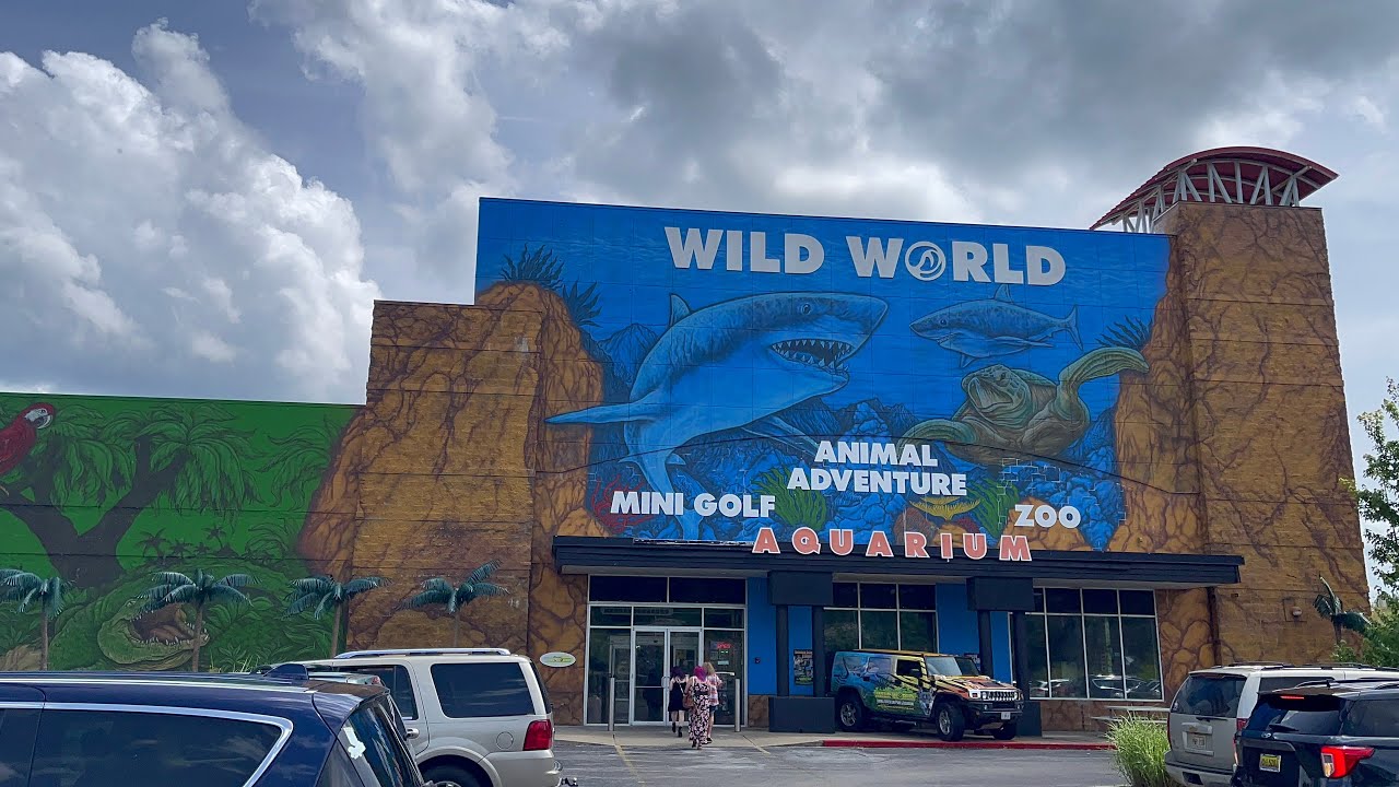 Branson's Wild World Zoo and Aquarium - YouTube